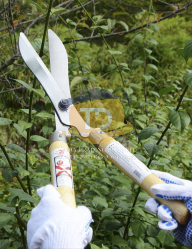 Landscaping Scissors(H520mm Type) – TONDA AGRICULTURE